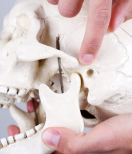 What is gnathology? - Everything you need to know about gnathology ...